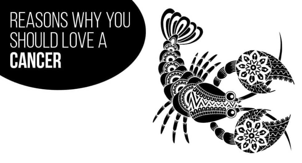 Reasons Why You Should love a Cancer