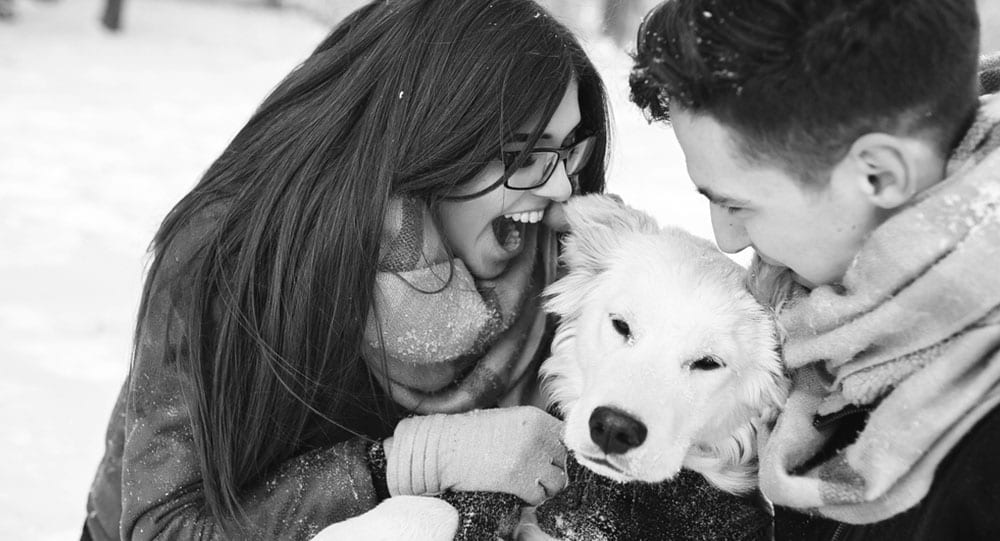 7 Signs You're In A High Quality Relationship