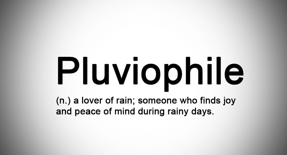 7 Undeniable Signs That You’re A Pluviophile